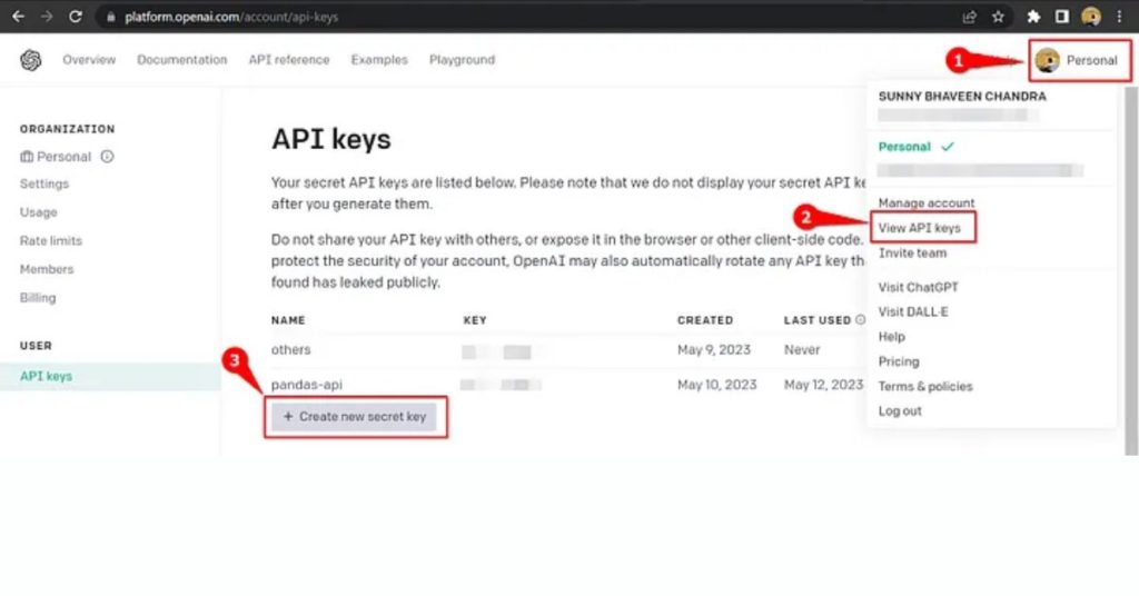 Pandas AI: Revolutionizing Data Analysis with AI-Driven Insights