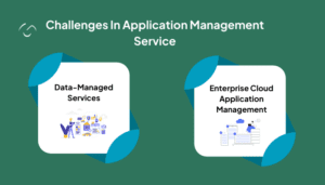 Application Management Services (AMS) Explained - OnGraph